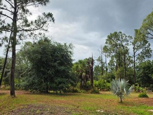 Perennial Rd, North Port, FL 34291