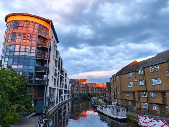 Perfect Studio to Watch birds at North Kensington!