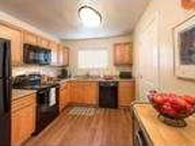 Perfect 1 Bed 1 Bath Available Today