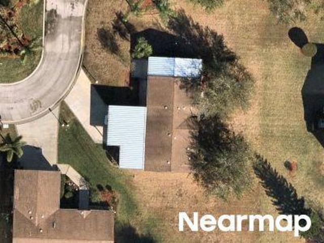 Perigrine Falcon Dr