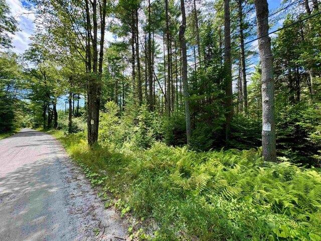 Perini Rd, Newbury, Plot For Sale