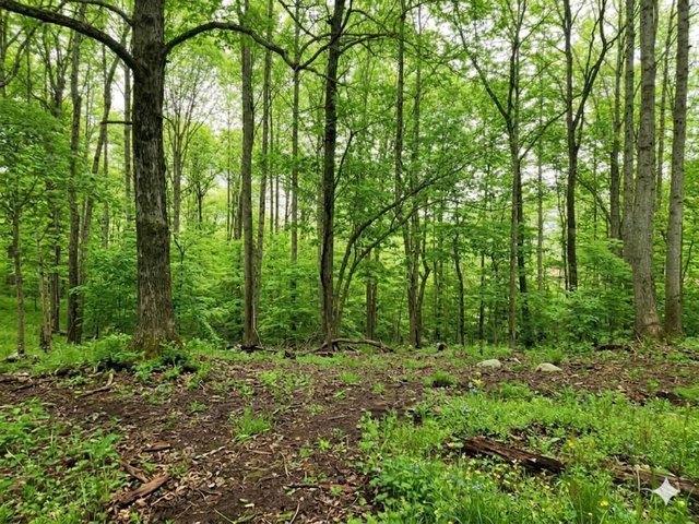 Periwinkle Path, Leoma, TN 38468