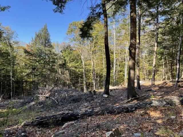 Perkins Hill Rd Lot,alexandria, Plot For Sale