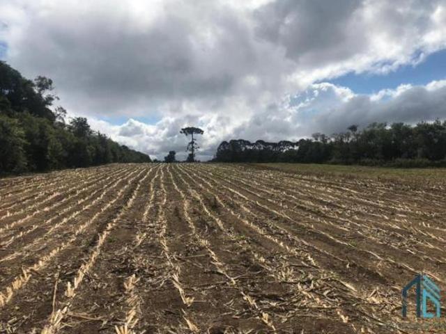 PERMUTA Terreno Industrial/Comercial podendo fazer 12 lotes para construção de 12 Barracões de mil