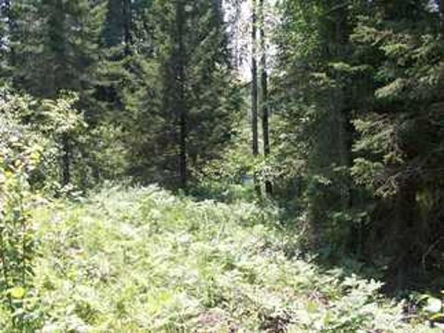 Perronville, MI Menominee Country Land 40 acre for sale in Perronville, Michigan