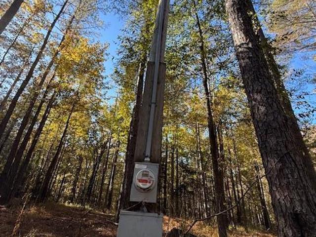 Perry Chapel Road, Ashland, MS 38603