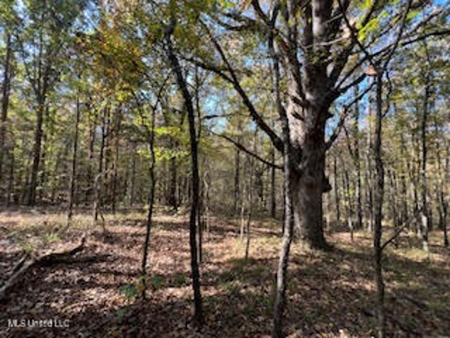 Perry Chapel Road, Ashland, MS 38603