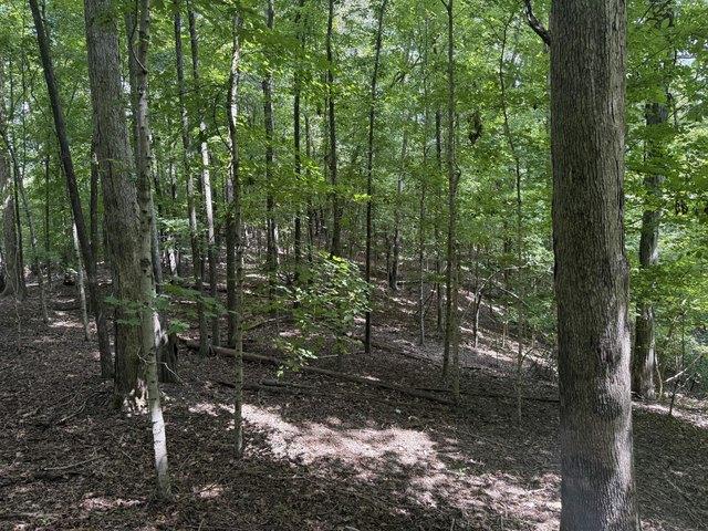 Perry Springs Rd, Eddyville, KY 42038