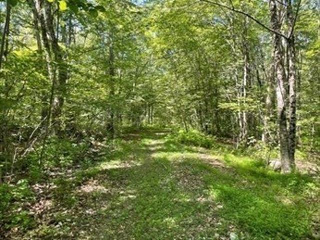 Perry St, Douglas, Plot For Sale
