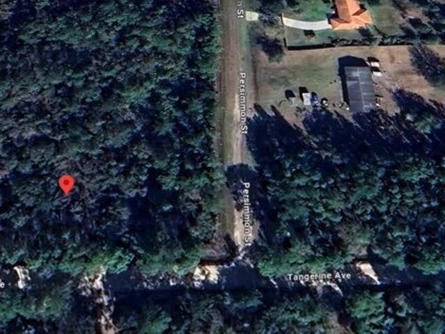 Persimmon St, Bunnell, Plot For Sale