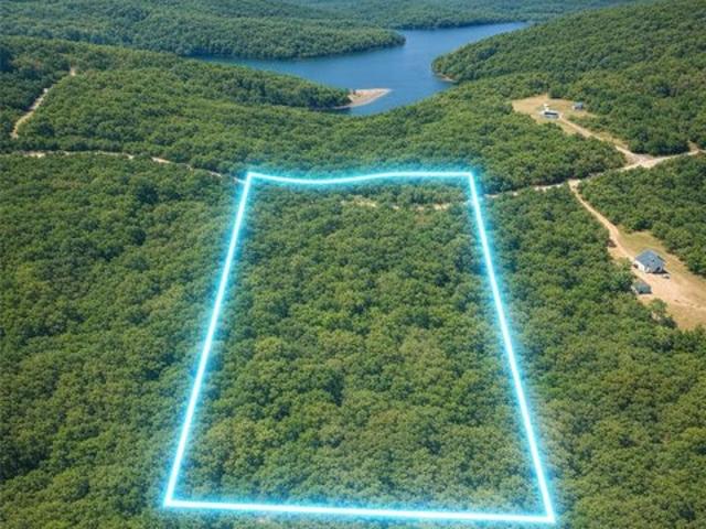 Persimmon Point Rd NESW Lots W1 & 2, Lead Hill, AR 72644