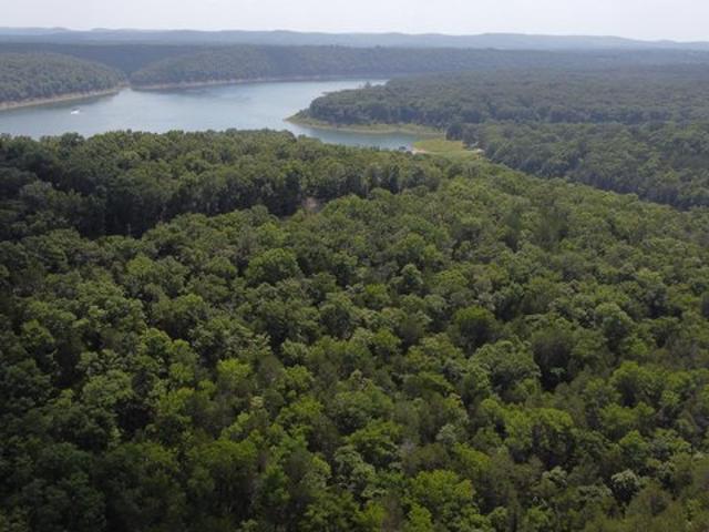 Persinger Rd, Cedarcreek, MO 65627
