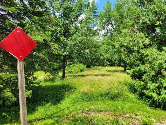 Peschel St, Waterloo, Plot For Sale