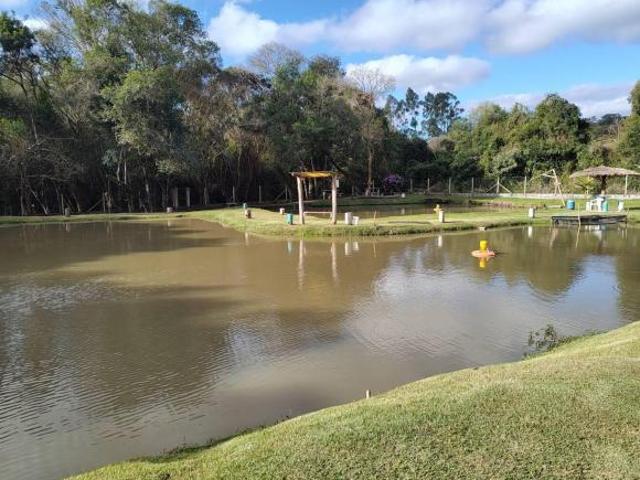 Pesqueiro a venda em Ibiúna