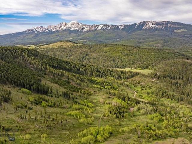 Petterson Rd, Wilsall, MT 59086