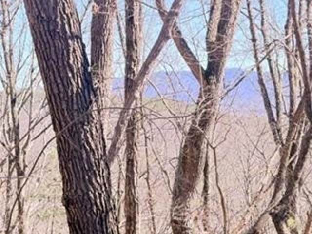 Pettit Ridge Rd, Ellijay, GA 30540