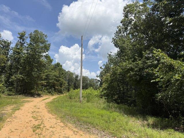 Petty Dr, Linden, TN 37096