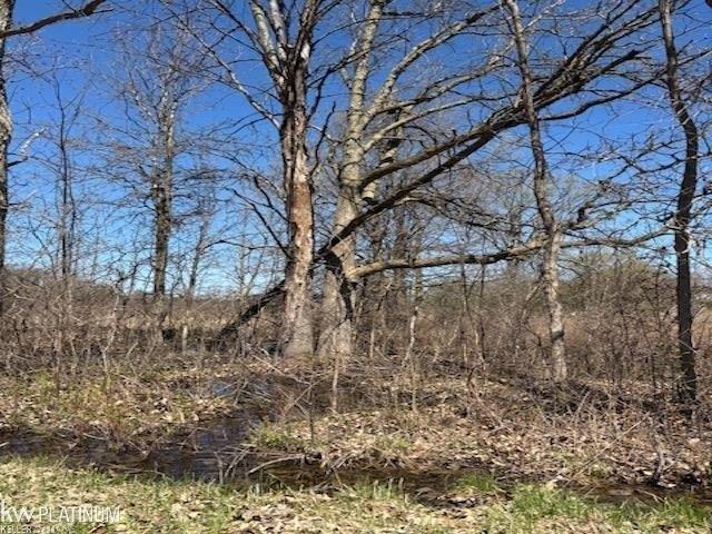 Petz Rd, Imlay City, MI 48444