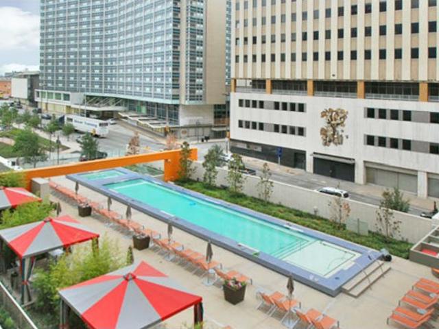 Pet Friendly Apartments in Downtown Dallas