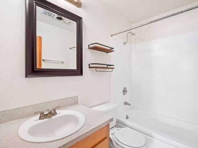 Pet Friendly Roosevelt Retreat with Modern Kitchen | 6113 Apartments 1 Bedroom Apartment for Rent at 6113 Roosevelt Way Ne, Seattle, WA 98115 Roosevelt