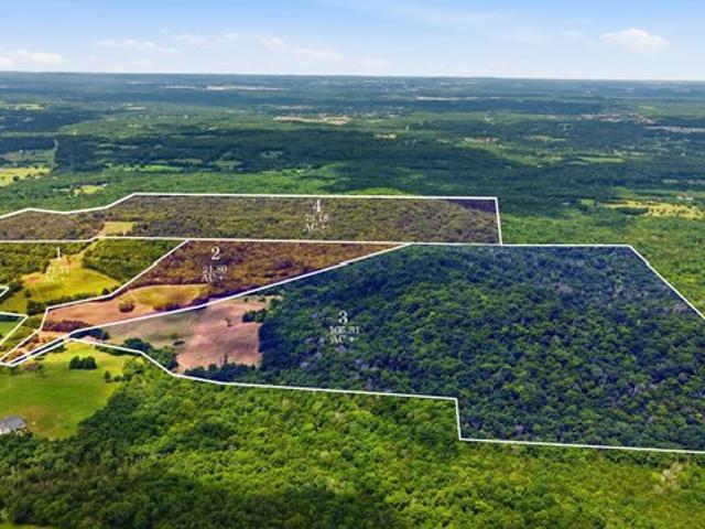 Pete Alsup Rd, Lascassas, TN 37085