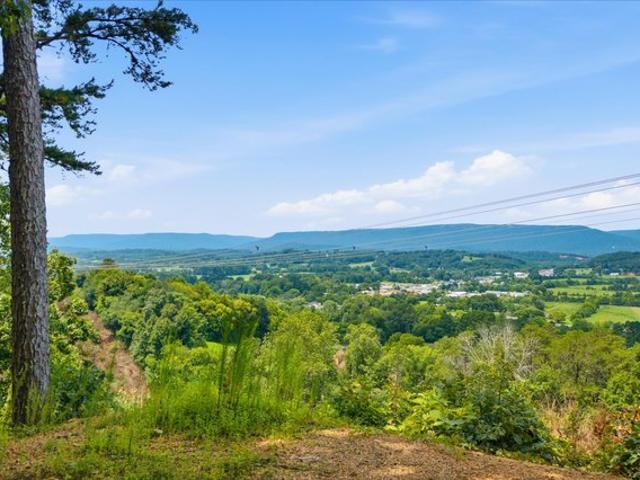 Pete Graham Rd, Jasper, TN 37347