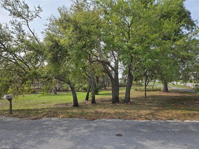 Petes Ln, Davenport, FL 33837