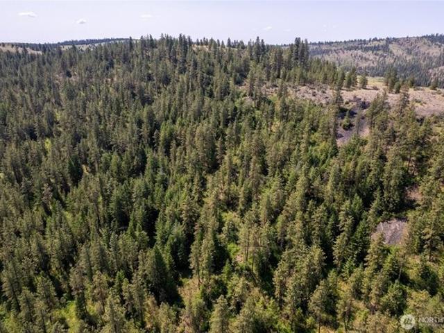 Peter Dan Creek Rd, Coulee Dam, WA 99116
