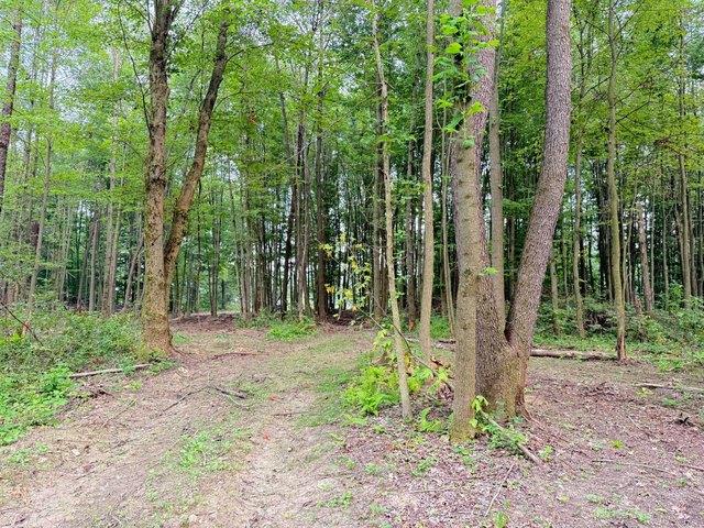 Petersburg Rd, Hadley, PA 16130