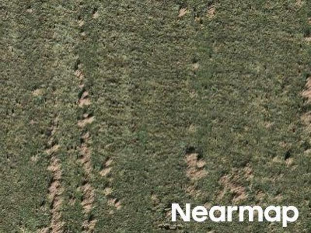 Peterson Rd