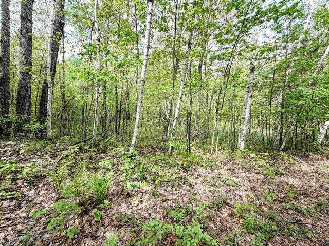 Peterson Rd Lot 2, Wascott, WI 54859