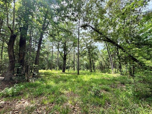Peyton Ln, Hillister, TX 77624