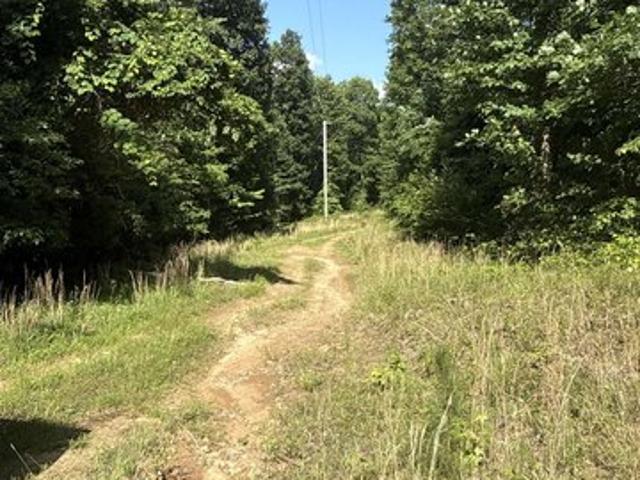 Peyton Mountain Rd, Dennard, AR 72629