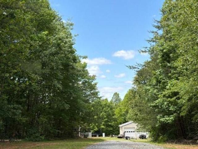 Phoebe Pond Rd