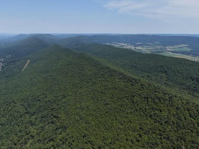 Phoenix Ln, Mill Hall, PA 17751