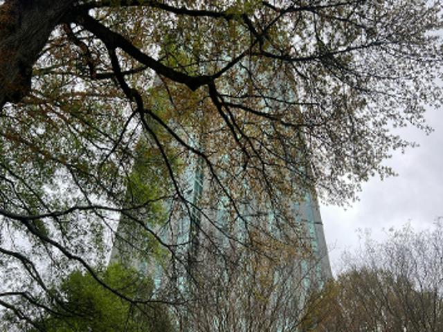 Pharr Court South NW