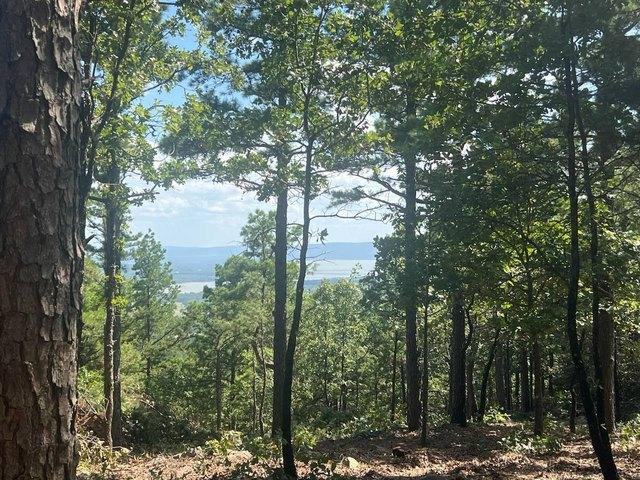Phase 4 Lot 28, Tuskahoma, OK 74574