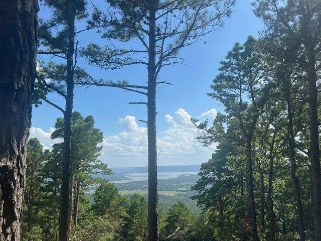Phase 4 Lot 30, Tuskahoma, OK 74574