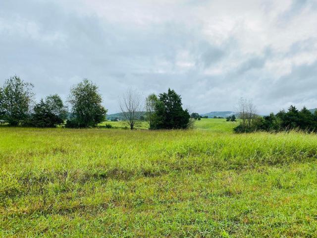 Phase 2, 7 Lighthouse Estates