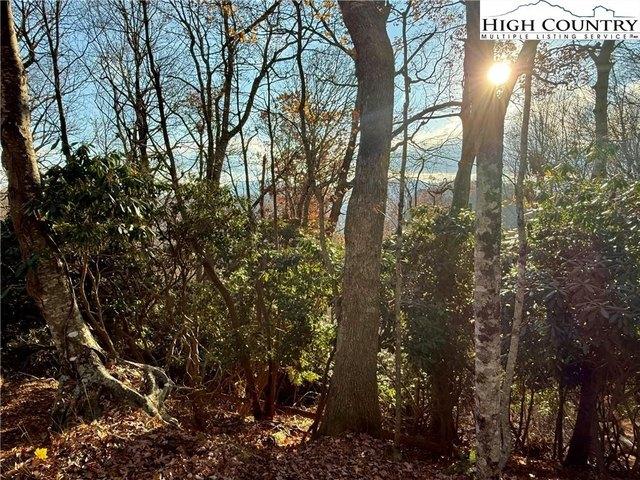 Pheasant Walk Way, Vilas, NC 28692