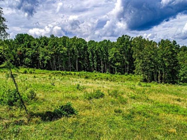 Philadelphia Rd, Abingdon, Plot For Sale