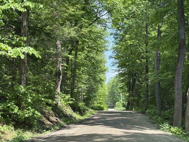 Phillips Hill Rd, Halifax, Plot For Sale