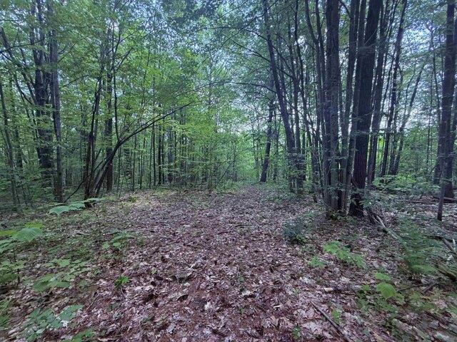 Phillips Hill Rd, Halifax, Plot For Sale