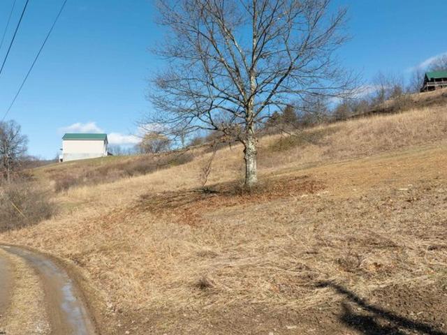 Phillips Pike, Grafton, WV 26354
