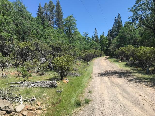 Phillips Rd, Oak Run, CA 96069 | MLS #25 2234 | Compass