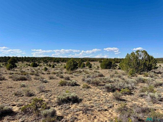 Pintos, NM 87321