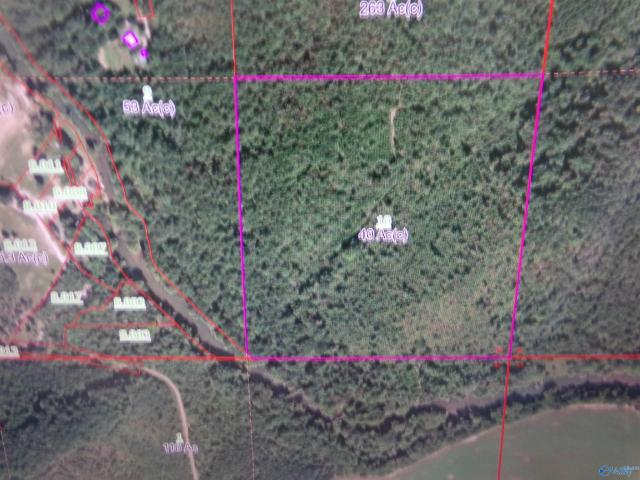 PIN # 29635 County Road 14