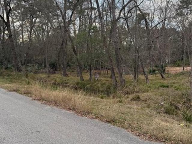 Pin Oak Drive Ln, Houston, TX 77336