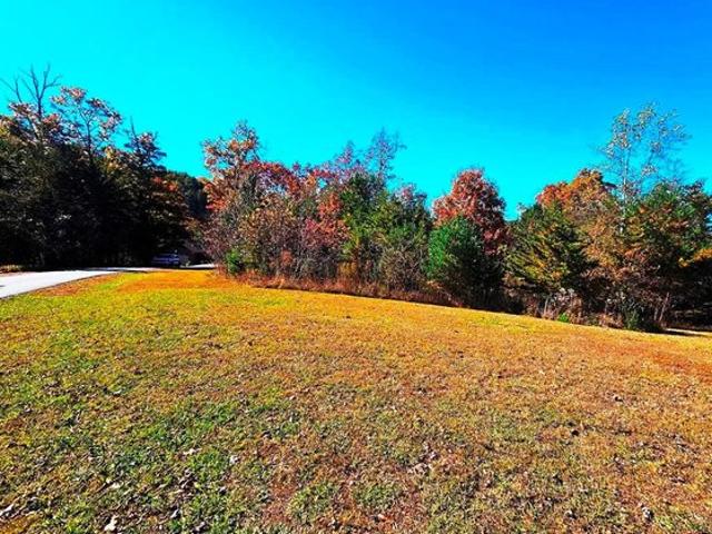 Pin Oak Rdg Lot 100, Murphy, NC 28906
