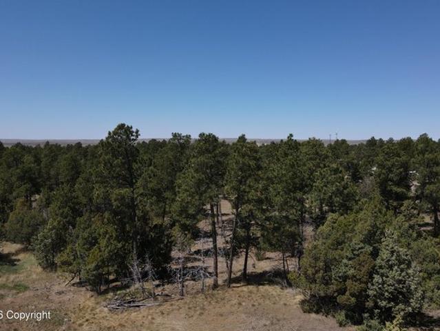 Pine Ave, Upton, WY 82730